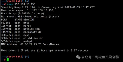 nmap工具使用 csdn博客