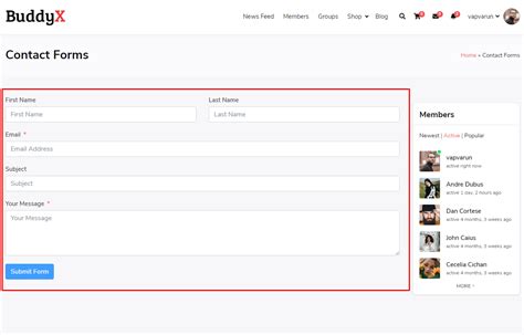 Wp Fluent Forms Buddyx Theme