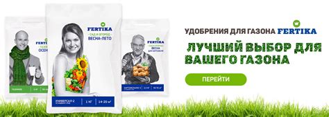 Семена газонных трав купить оптом в Москве