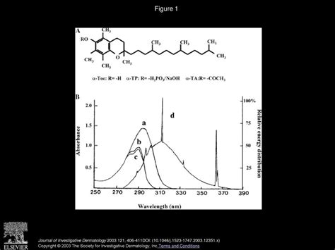 Protective Effect Of α Tocopherol 6 O Phosphate Against Ultraviolet B