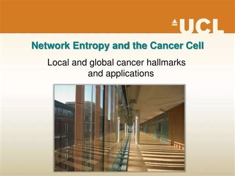 Ppt Network Entropy And The Cancer Cell Powerpoint Presentation Free