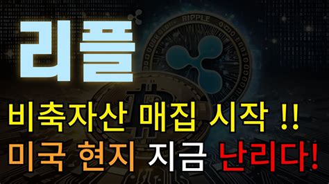 리플 코인 비축자산 매집 시작 미국 현지 지금 난리다 Youtube