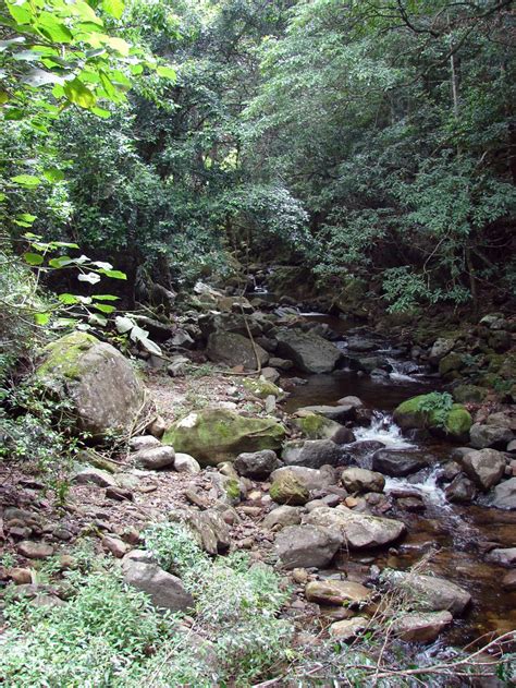 John Persons Xxx Cartoons Sex Pictures Pass