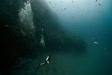 10 Truly Fascinating Underwater Phenomena And How To See Them