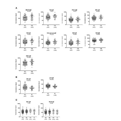 Specific Lectins Of Serum Igm Determined By The Lectin Microarray A Download Scientific