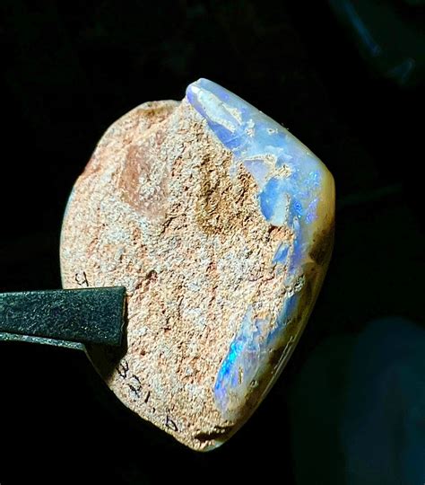 Australian Opalised Fossil Bivalve Shell Lightning Ridge Cretaceous 100 Million Years