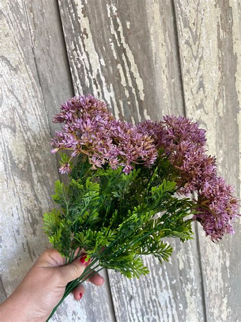 17 Purple Allium Bush Keleas Florals