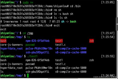 linuxset uid权限漏洞实验：安全与滥用 csdn博客