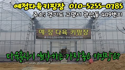 💥 최신시설 킵장소개 다육홀릭이 가장 좋은 킵장이라 생각하는 조건은 Youtube