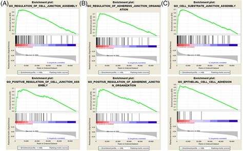 Functional Enrichment Analysis A‐c The Gene Set Enrichment Analysis