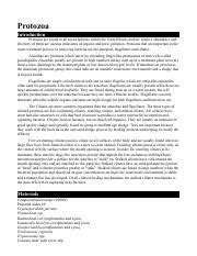 Understanding Protozoa Importance In Water Treatment Course Hero