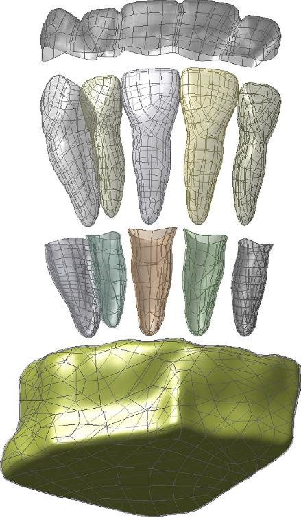 Final Nurbs Surface Models Of The Geometries Obtained From The Download Scientific Diagram
