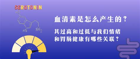 Turicibacter Sanguinis