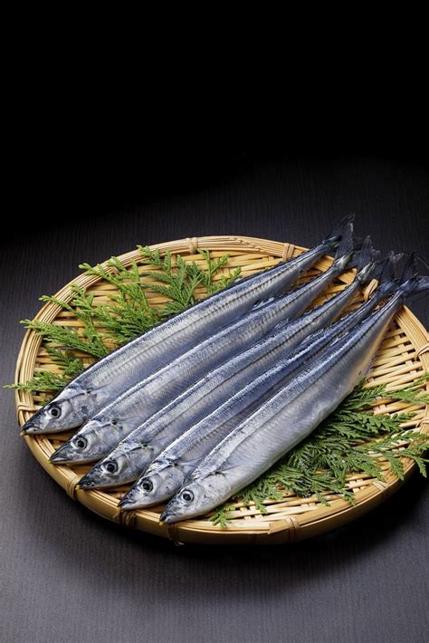 Как просто и вкусно приготовить недорогую рыбную мелочь сайру и салаку — читать на