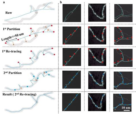 Overall Workflow Of Our Refinement Strategy Dots Reconstruction Download Scientific Diagram