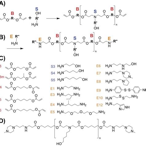 Schematic Showing Polymerization Scheme And Monomers Used A Download Scientific Diagram