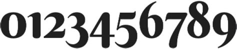 Berkshire Pro Swash Otf 400 Font Serif Classic What Font Is