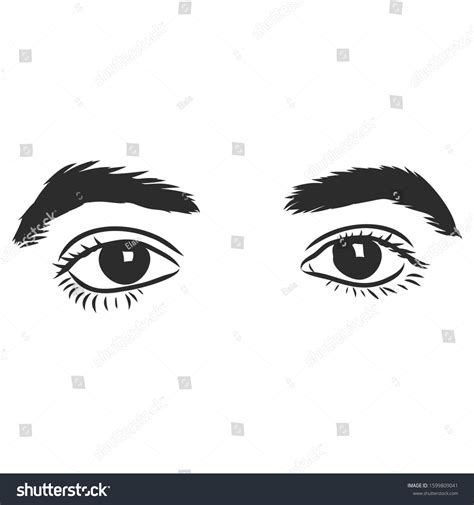 Male Eyes Eyebrows Vector Illustration Stock Vector Royalty Free