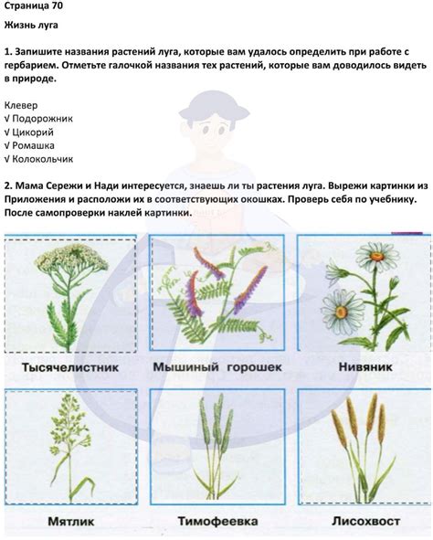 ГДЗ Страница 70 Часть 1 Рабочая тетрадь окружающий мир за 4 класс Плешаков Крючкова 2023 ФГОС