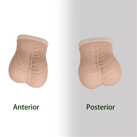 Small Size Testicular Self Examination Model Testicular Self Examination Model And Mini