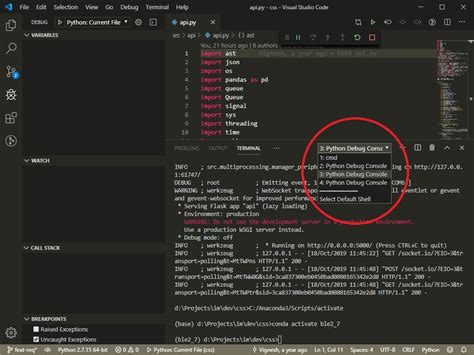 Debug Console Duplication Issue Microsoft Vscode GitHub