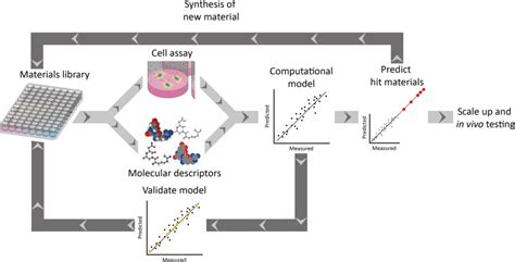 Process Of Computational Modelling For The Generation Of Novel Download Scientific Diagram
