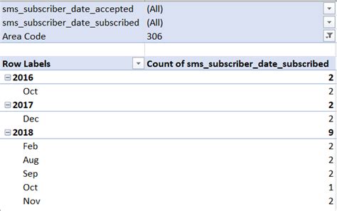 pivot table vba that filters for only certain area codes r excel