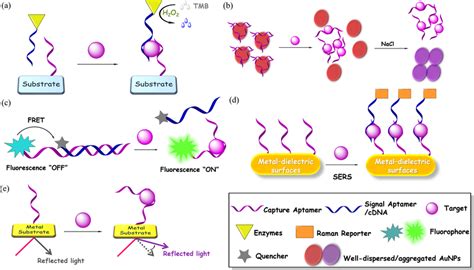 schematic illustration of representative optical aptasensors a