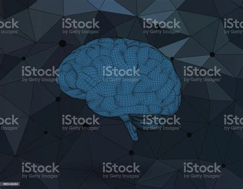 다각형 연결 점 Bg에 와이어 프레임 두뇌 3차원 형태에 대한 스톡 벡터 아트 및 기타 이미지 3차원 형태 개념과 주제