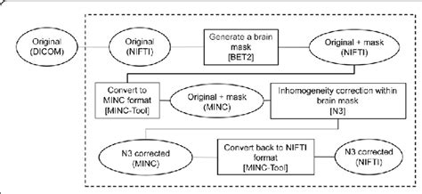 Schematic Of Inhomogeneity Correction Procedure Performed On Lin4neuro