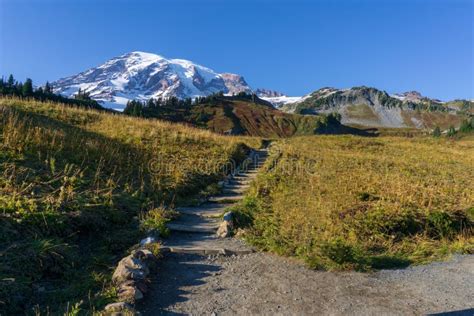 Paradise Trail In Mount Rainier National Park Washington Usa Stock