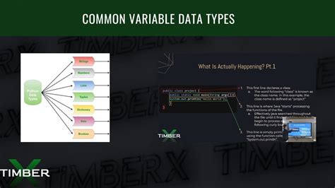 Timberx Common Variable Data Types Youtube