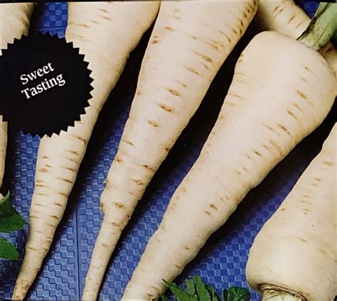 Parsnip Albion Pelleted The Seed Company By Ew Gaze