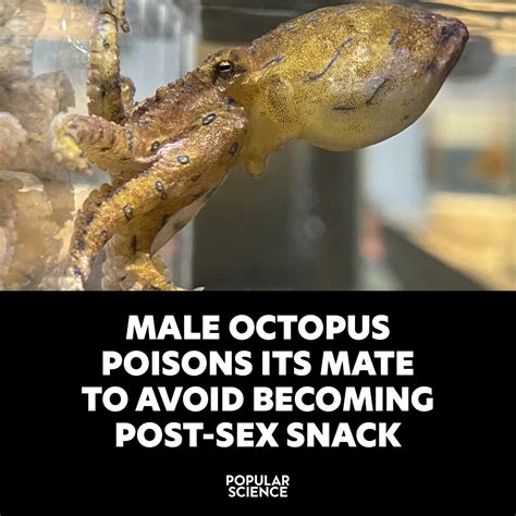 Popular Science Its The Latest Known Species To Engage