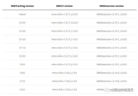 Mmtracking安装（最大问题：版本问题） Csdn博客