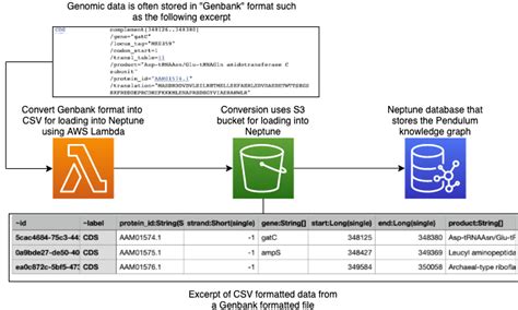 Building A Biological Knowledge Graph At Pendulum Using Amazon Neptune Looking For IT News
