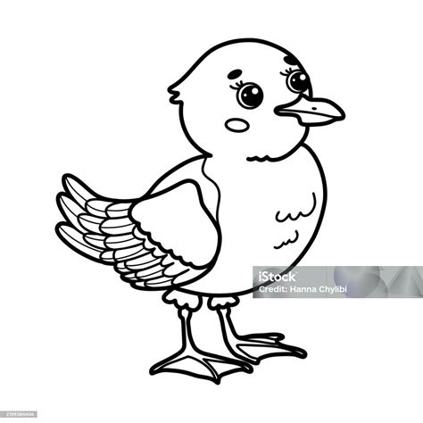 귀여운 만화 갈매기입니다 흑인과 백인 윤곽선 벡터 새의 그림 어린이 색칠 공부 페이지 책 갈매기에 대한 스톡 벡터 아트 및 기타