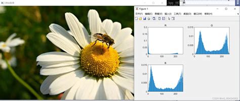 c 编制直方图程序 c 直方图 csdn博客