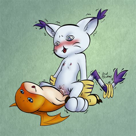 Post Digimon Gatomon Patamon Soulcentinel