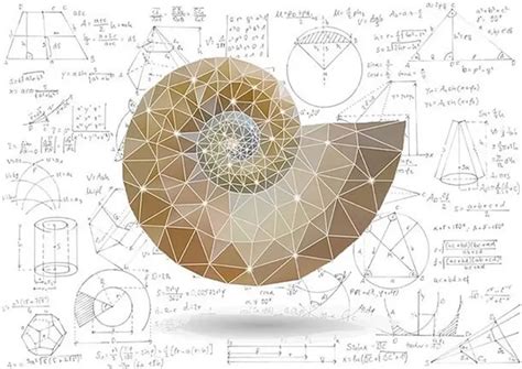 Mathematics In Art And Architecture A Creative Perspective