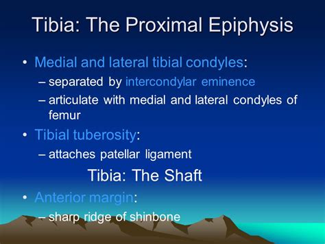 Chapter 8 The Appendicular Skeleton Aandp Biology Ppt Video Online Download