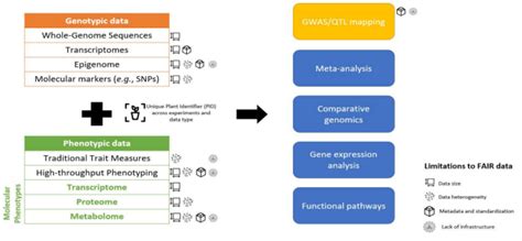 大数据时代的农业科学 基因型与表型数据的标准化、利用与整合 知乎