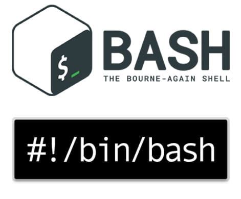 Cara Tampilkan Angka 1 10 Bash Script Avada Creative