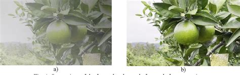 figure 1 from research on citrus segmentation algorithm based on