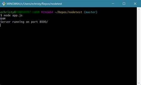 How To Run A Node Js File In Terminal