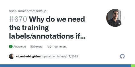 Why Do We Need The Training Labels Annotations If This Is A Self Supervised Training Open