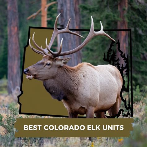 Colorados Top Units For Trophy Bull Elk Rugid