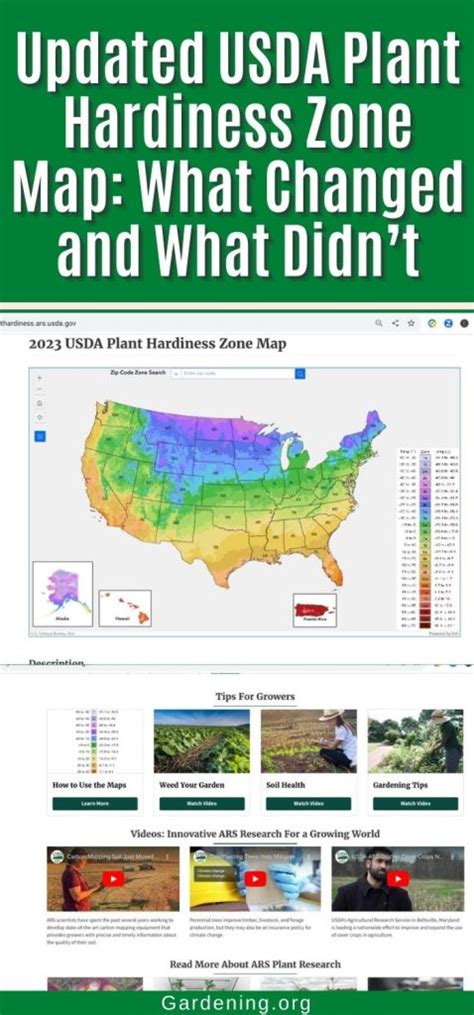 Nuevo Mapa De Zonas De Resistencia Del Usda Usda Hardiness Zones Under