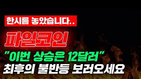 한시름 놓았습니다 파일코인 이번 상승은 12달러 최후의 불반등 보러오세요 파일코인 파일코인전망 파일코인호재 Youtube