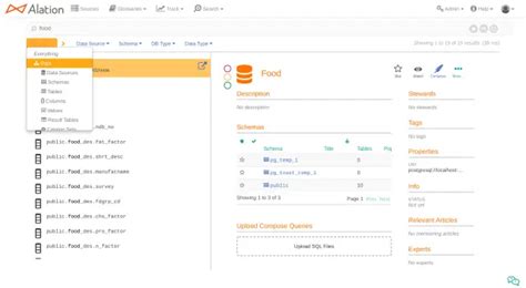 Der Alation Data Catalog Synvert A Globallogic Company